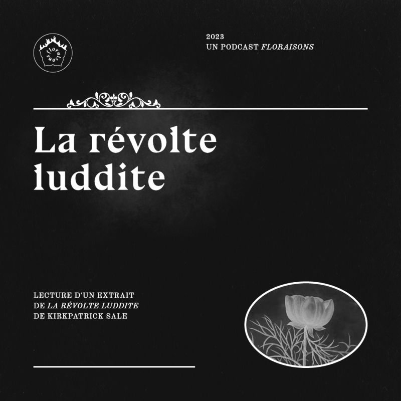 « La révolte luddite » | Les Éditions L'échappée